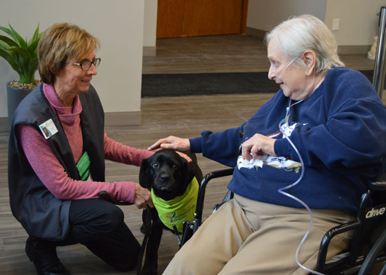 Best Friend to Therapist - Northern Illinois Hospice